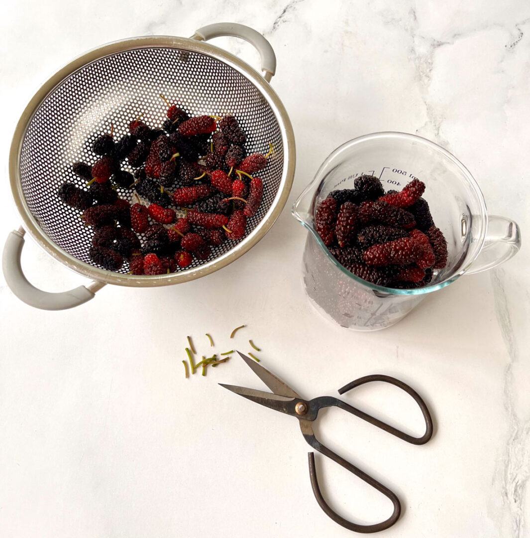 Mulberry Muffins Recipe - Simple, Easy & Delicious - joinmeinthekitchen.com